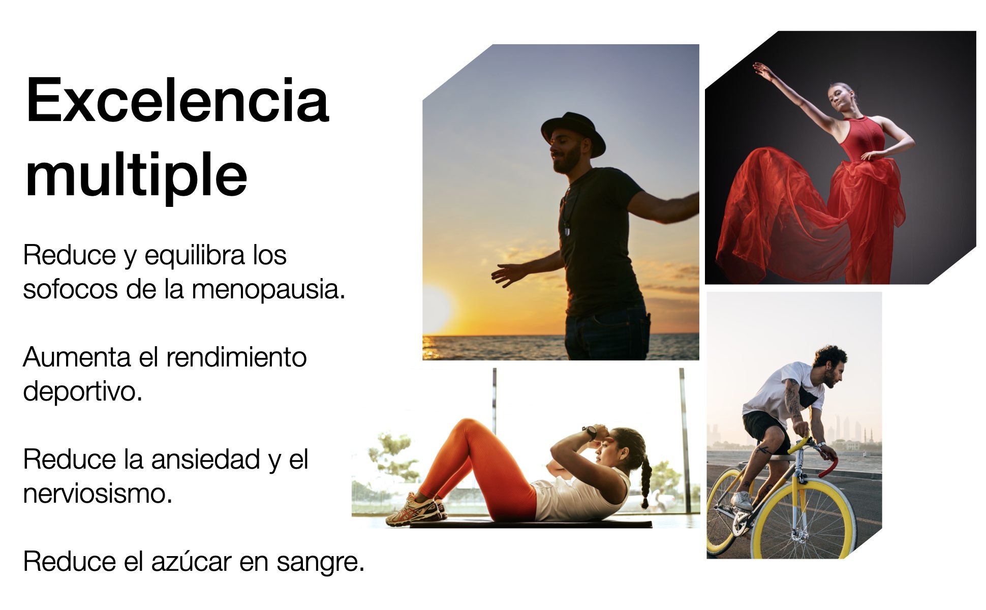 Ashwagandha™ Sensoril - alta potencia energía y relajación